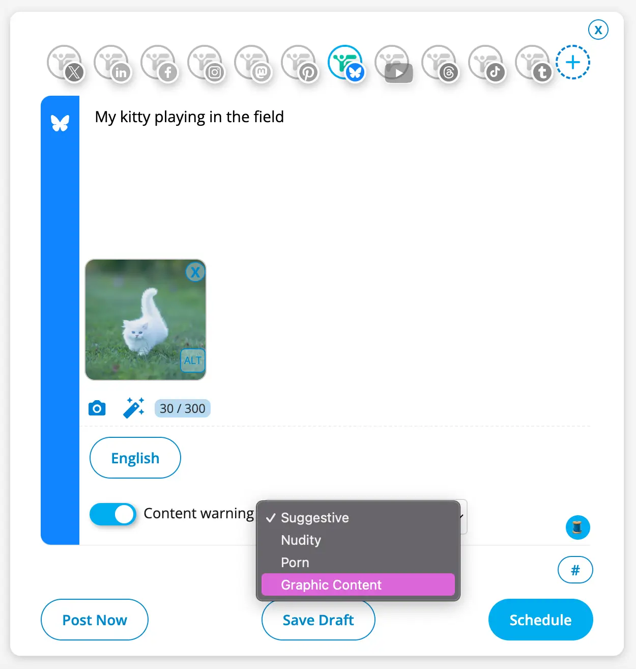 How to Schedule Bluesky Posts with Suggestive Labels (Step-by-Step ...